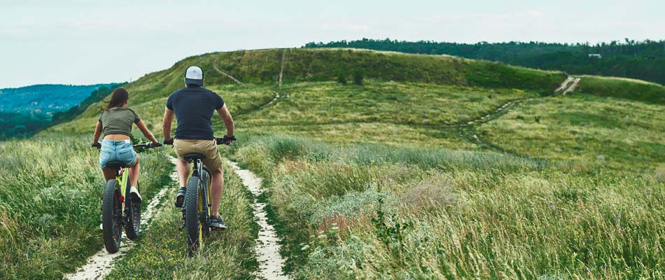 Cebra : mieux se manager, mieux manager